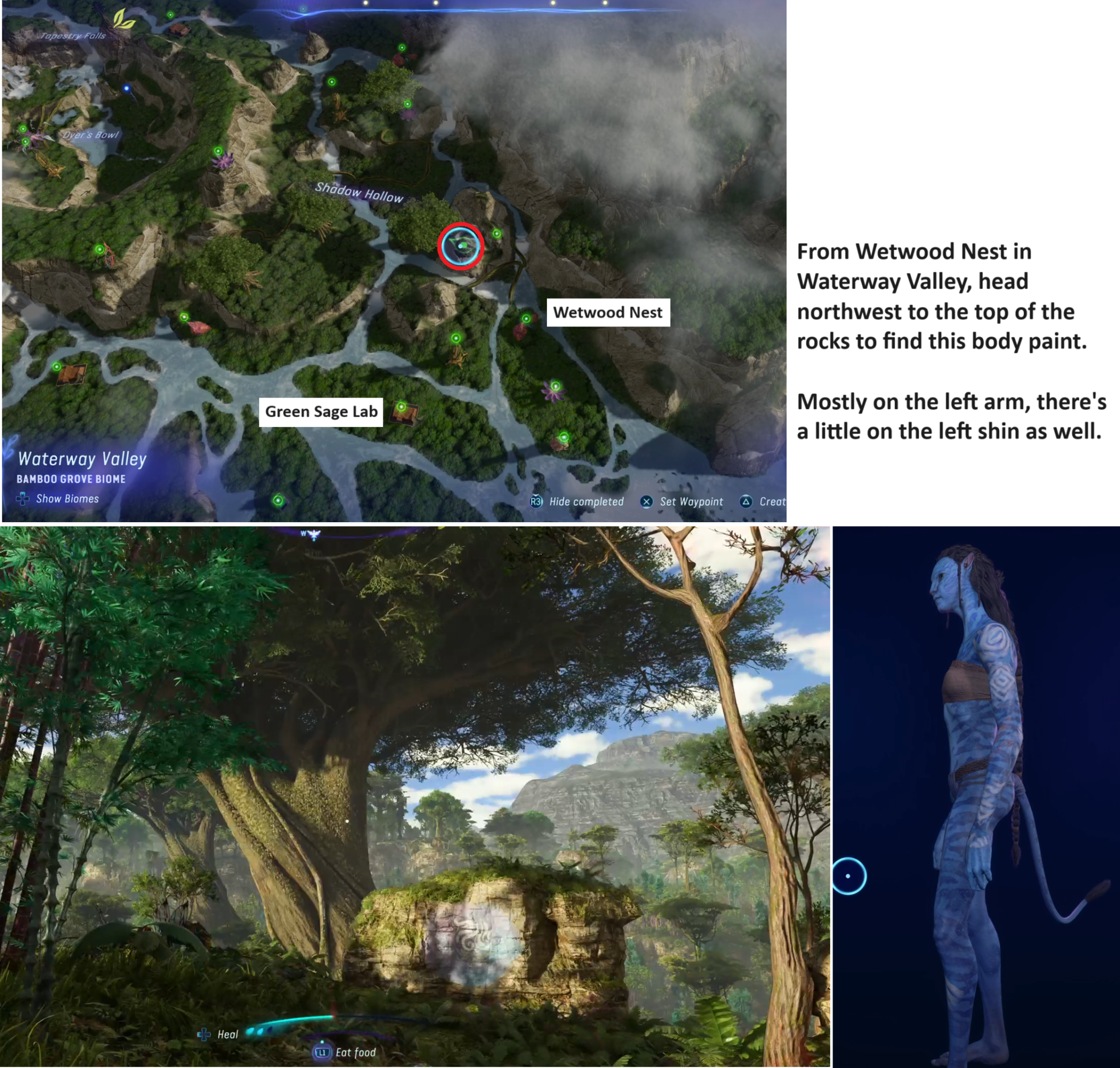 Avatar: Frontiers of Pandora 35+ Body, Face Paint, and/or New Color ...